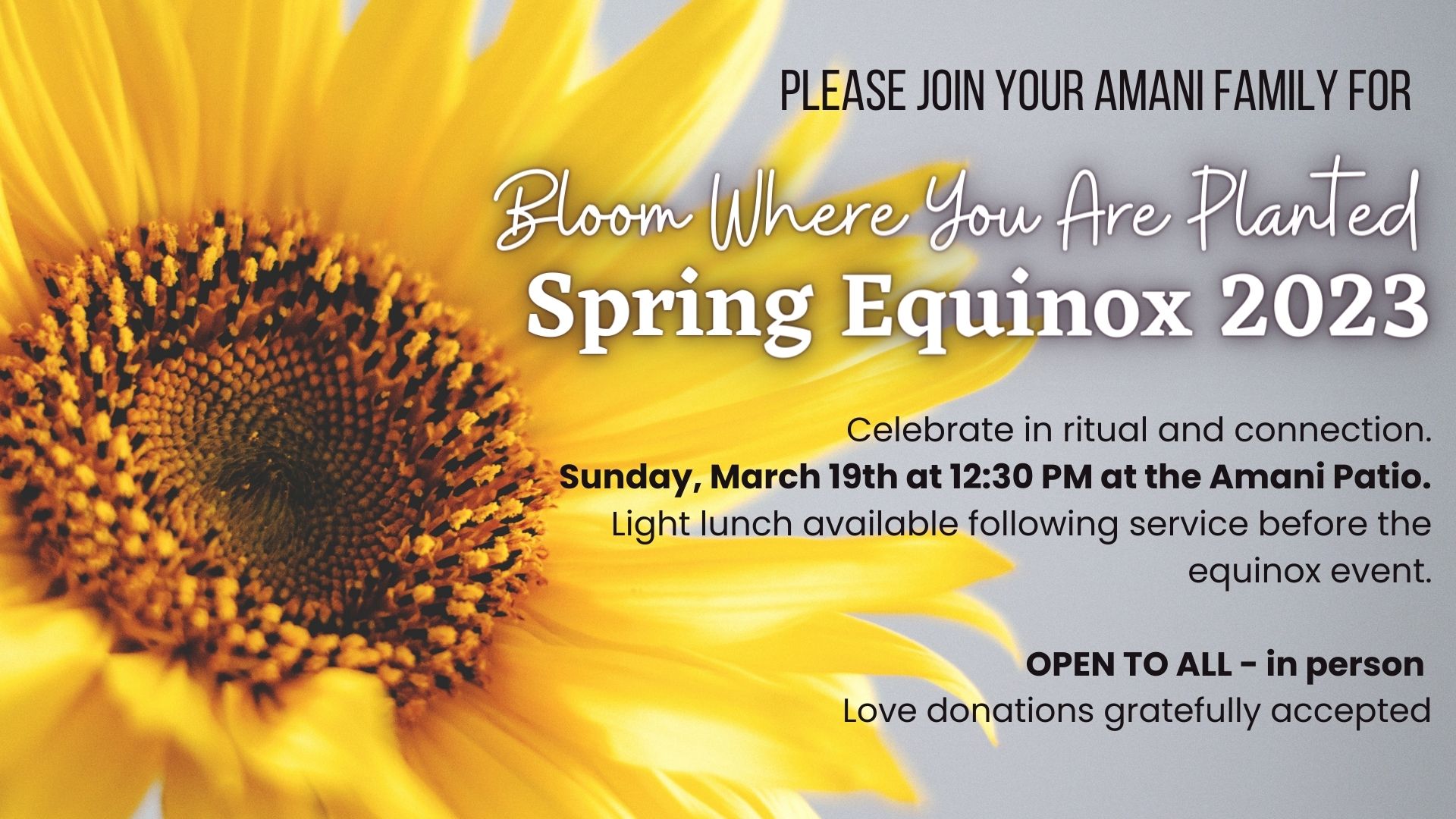Spring Equinox 2023 – The Amani Center